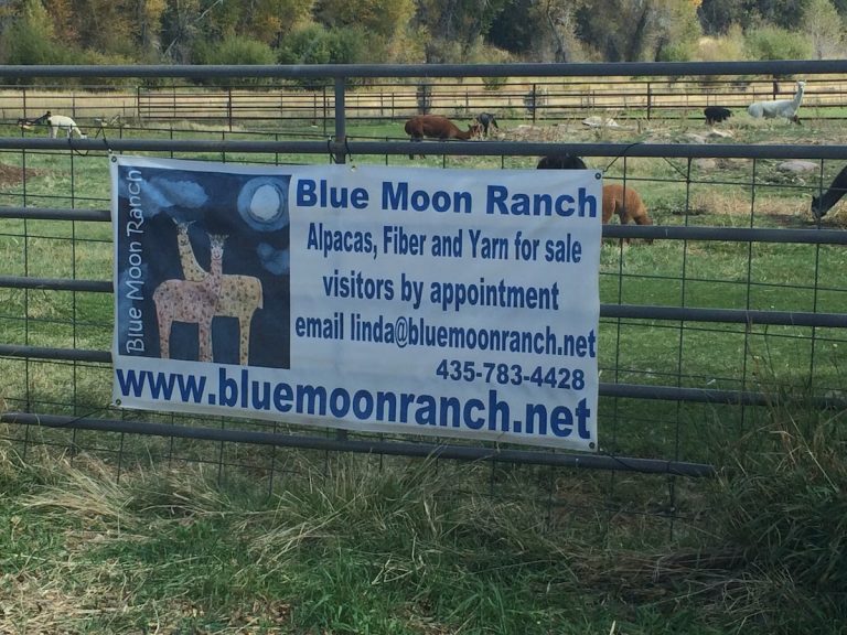 Blue Moon Ranch – Joseph Scott