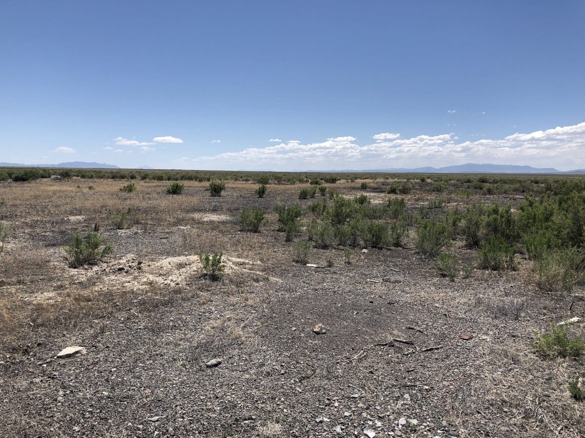 Topaz War Relocation Center – Joseph Scott